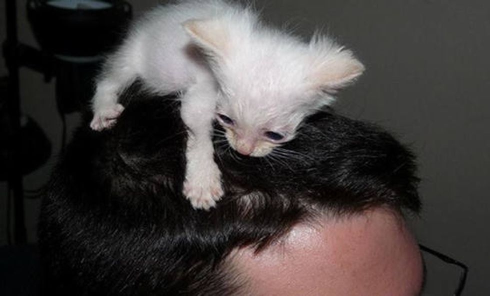 Tiniest Runt They Have Ever Seen Gets a Fighting Chance, Then and Now ...