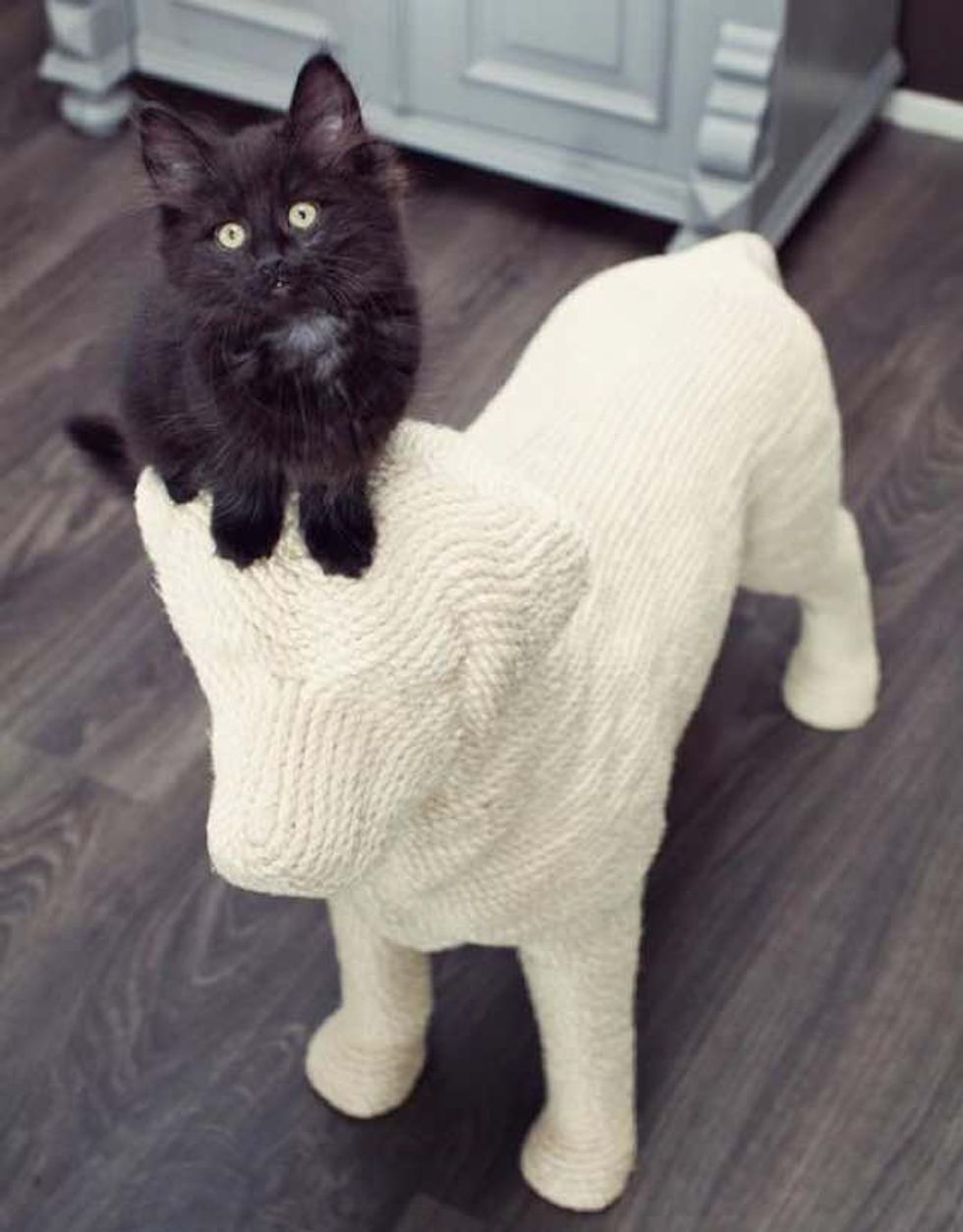 Man Builds Dog-shaped Scratching Post for His Beloved Cat - Love Meow