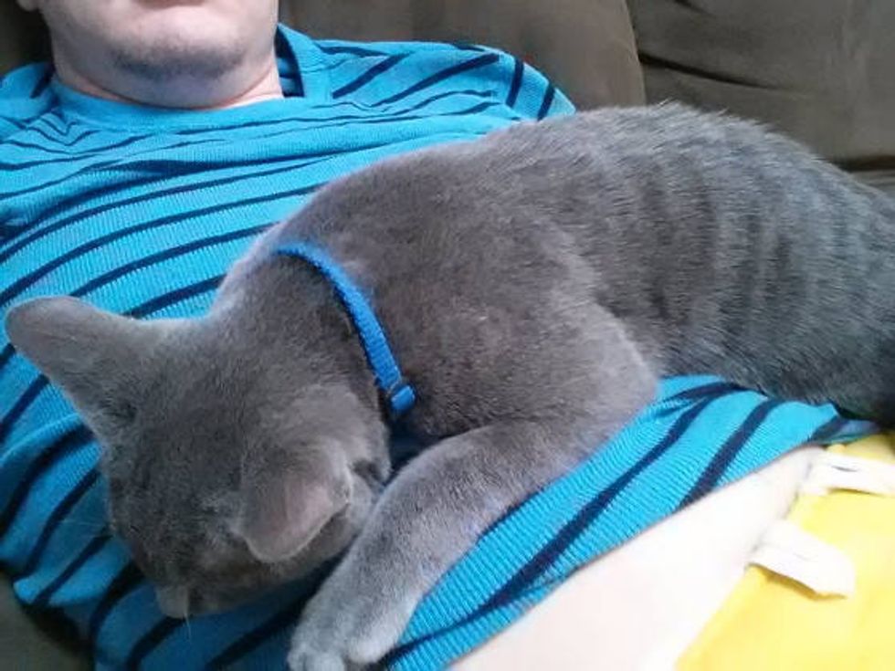 Young Man Saves Cat Who Changes His Life Forever - Love Meow