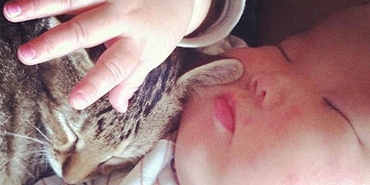 Toco The Cat And His Human: Growing Up Together - Love Meow