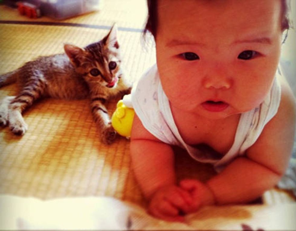 Toco The Cat And His Human: Growing Up Together - Love Meow