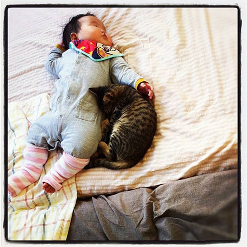 Toco The Cat And His Human: Growing Up Together - Love Meow