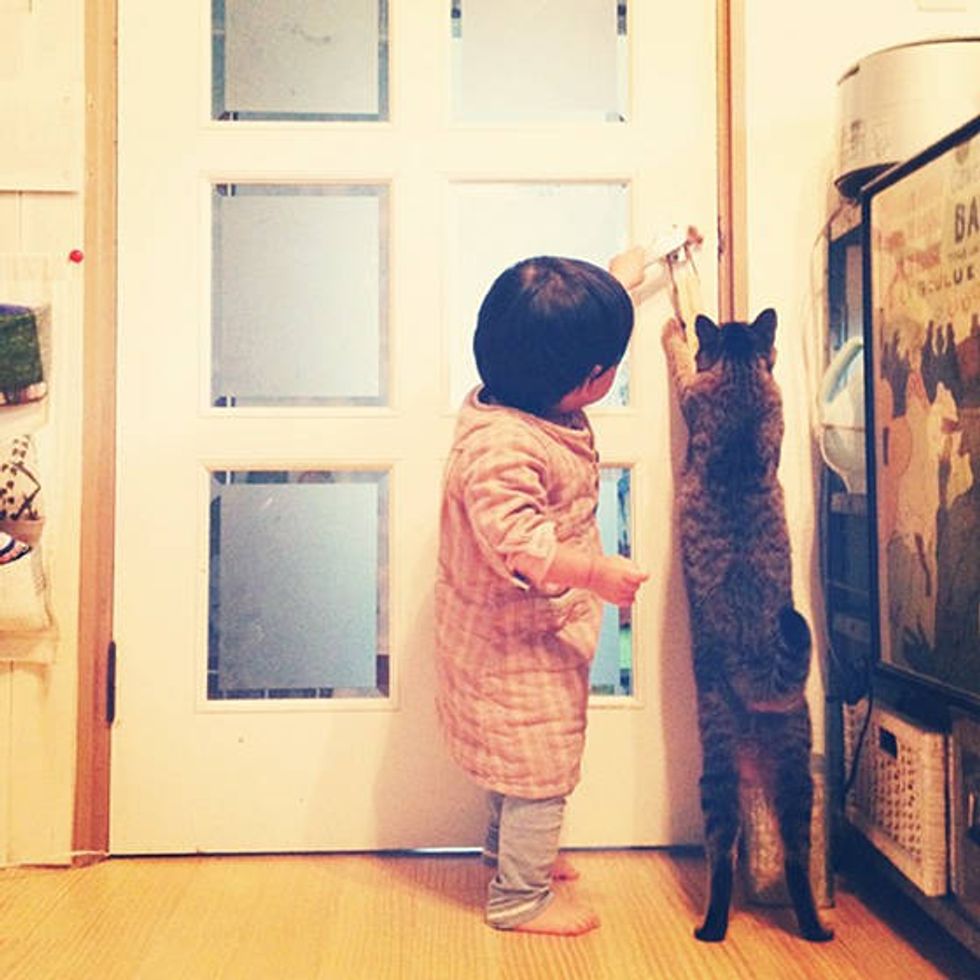 Toco The Cat And His Human: Growing Up Together - Love Meow