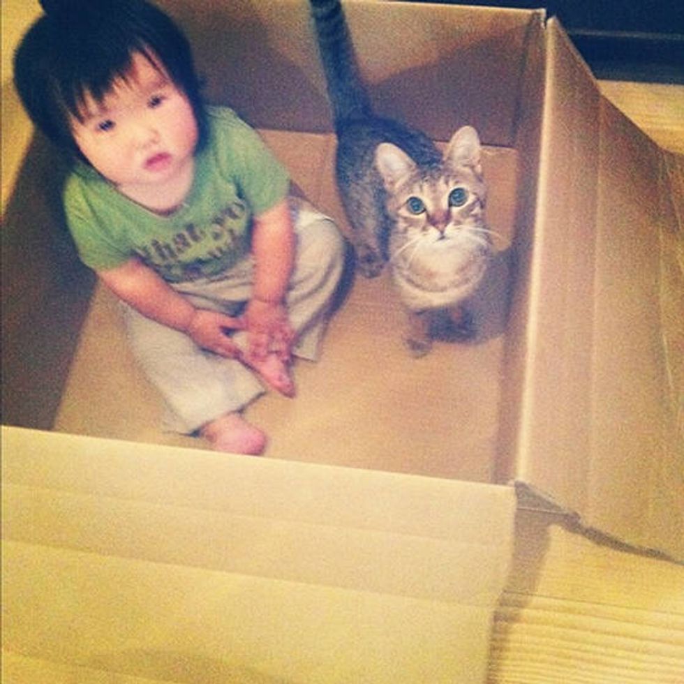 Toco The Cat And His Human: Growing Up Together - Love Meow