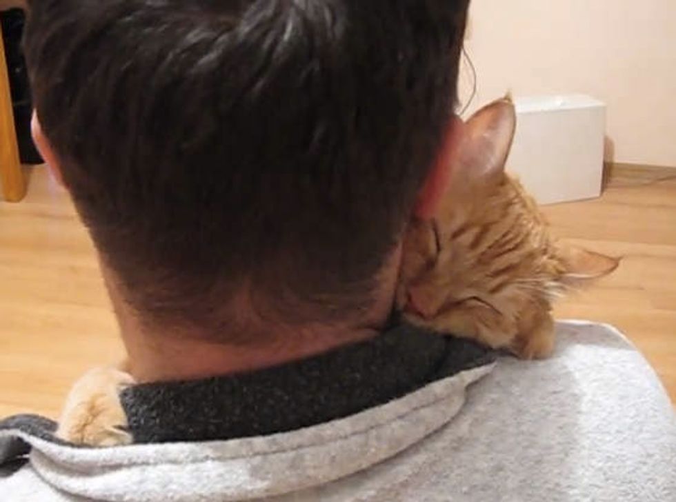 Cat Loves Human Dad - Love Meow