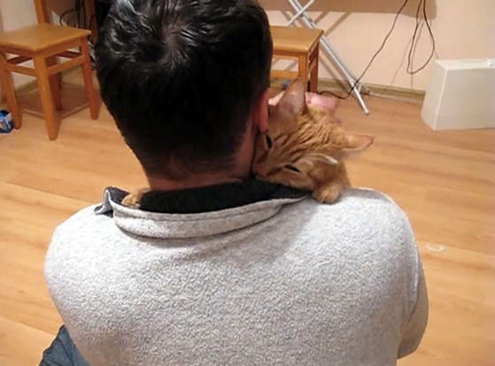 Cat Loves Human Dad - Love Meow