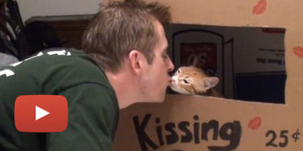 Kitty Kissing Booth - Love Meow