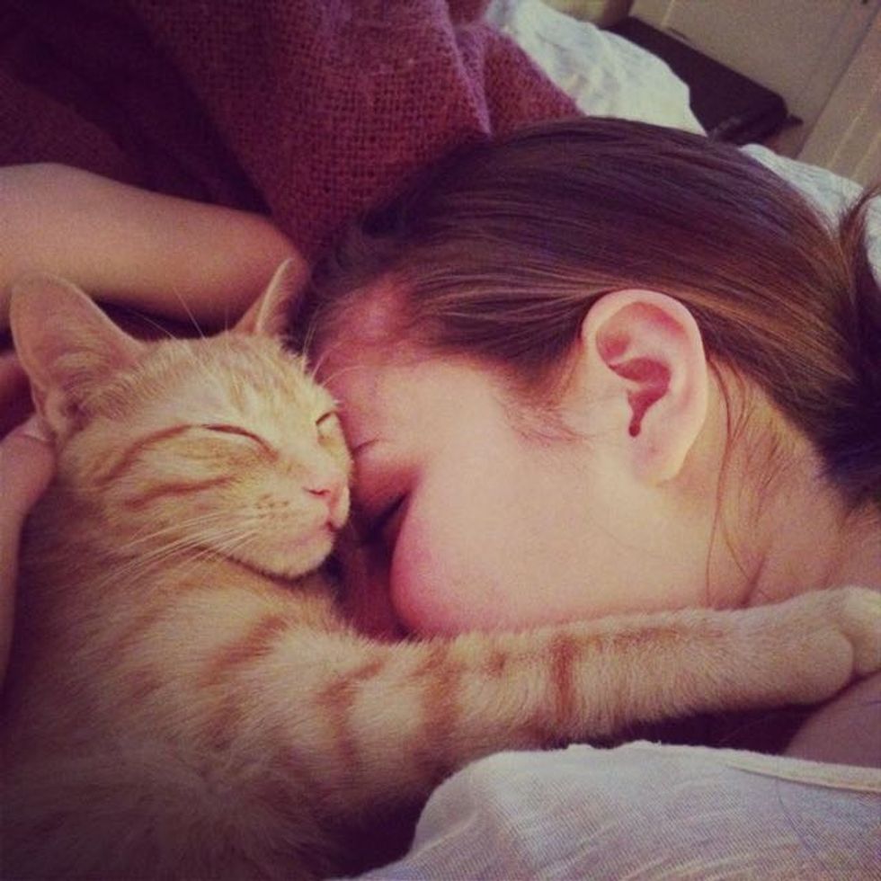 Woman Saves Kitten Despite Being Told He was too 'Feral', Right After ...