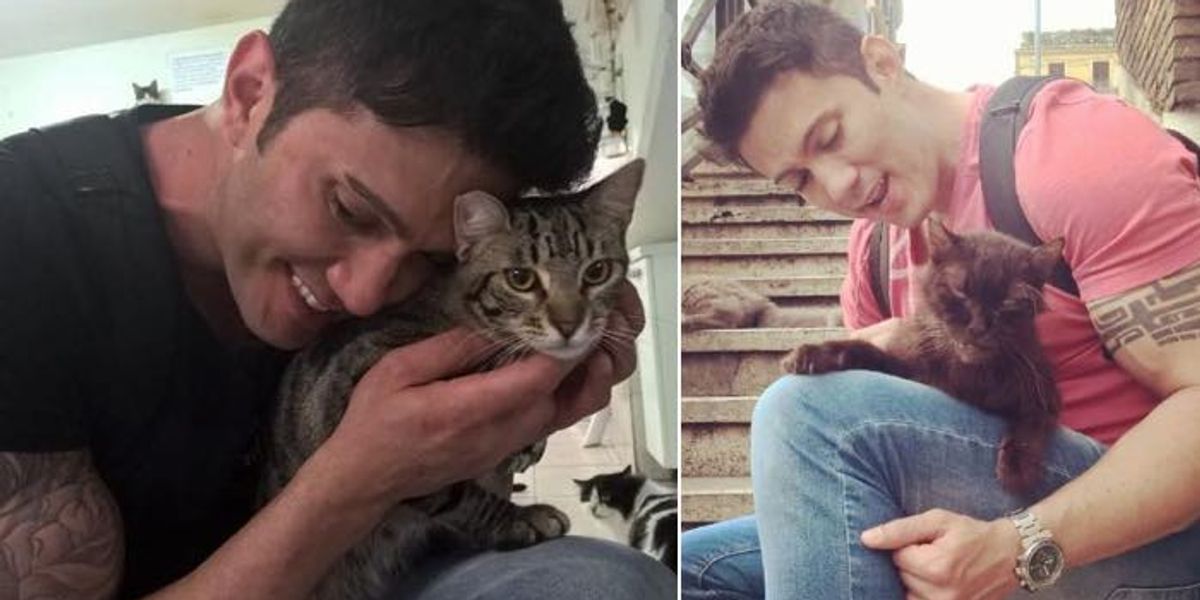 Man Visits Cats Wherever He Travels and Rescues Those Who Need a Home ...