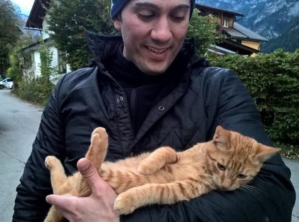 Man Visits Cats Wherever He Travels and Rescues Those Who Need a Home ...