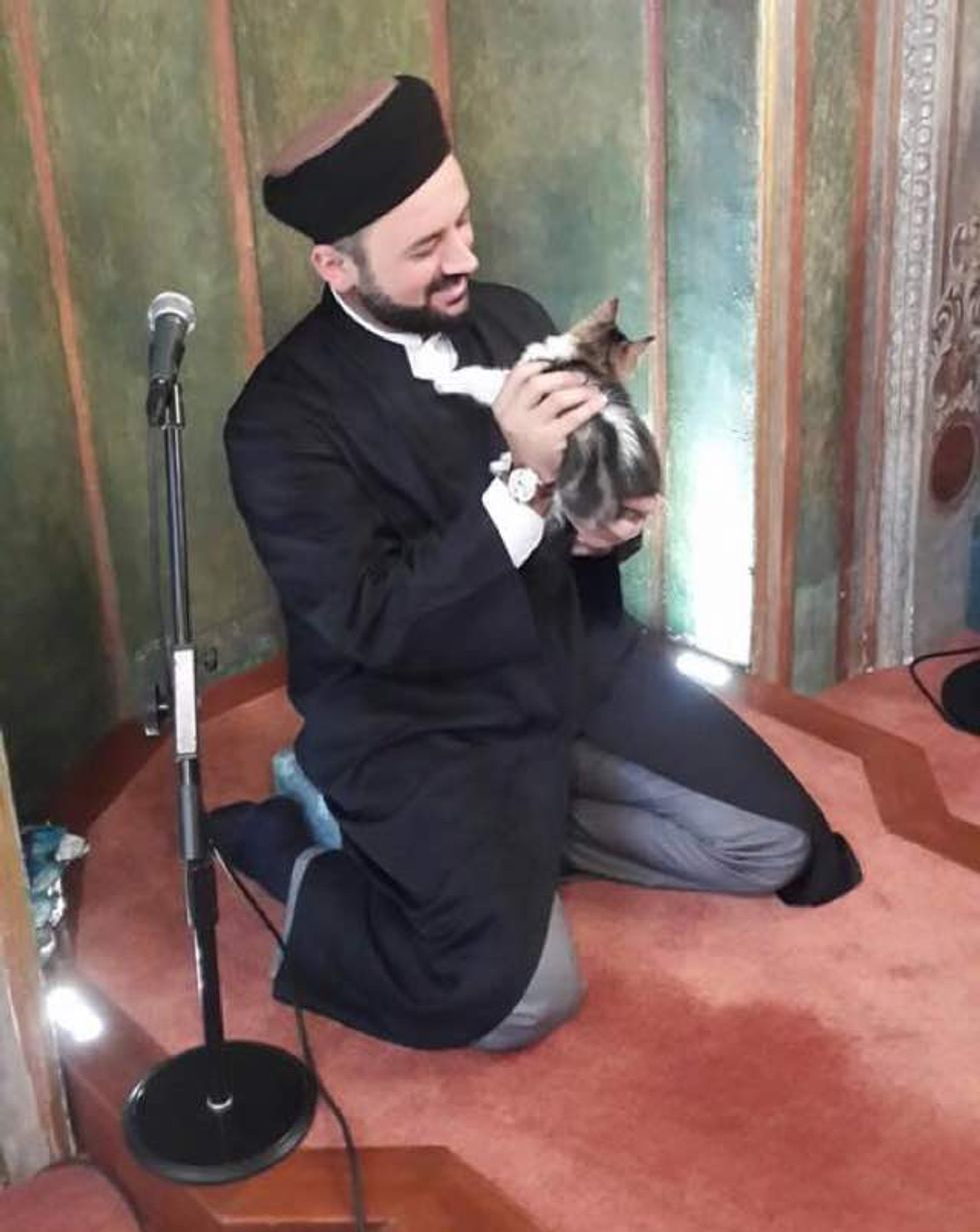 Man Opens Mosque’s Doors for Stray Cats to Give Them Shelter and Keep ...