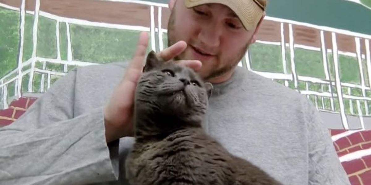 Cat Went Looking for His Human who was Deployed. 4 Years Later They ...