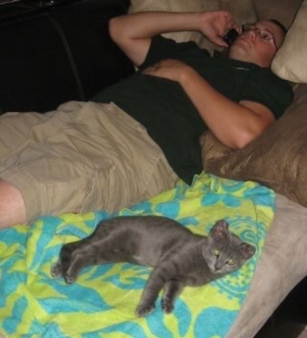 Cat Went Looking for His Human who was Deployed. 4 Years Later They ...
