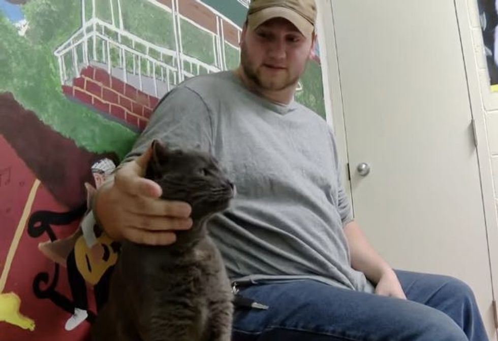 Cat Went Looking for His Human who was Deployed. 4 Years Later They ...