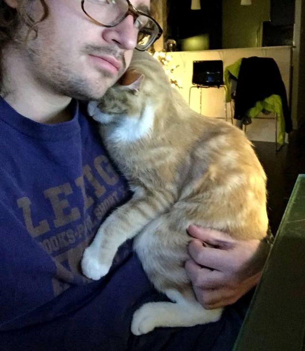 Young Man Took Cat Out of Shelter, Hours After Adoption.. - Love Meow
