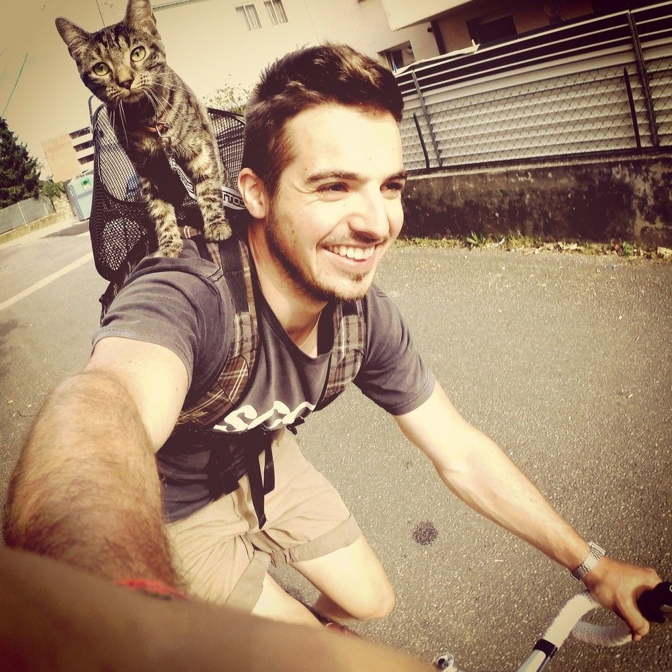 Man who was Chosen by a Shelter Cat Captures the Wonderful Adventures ...