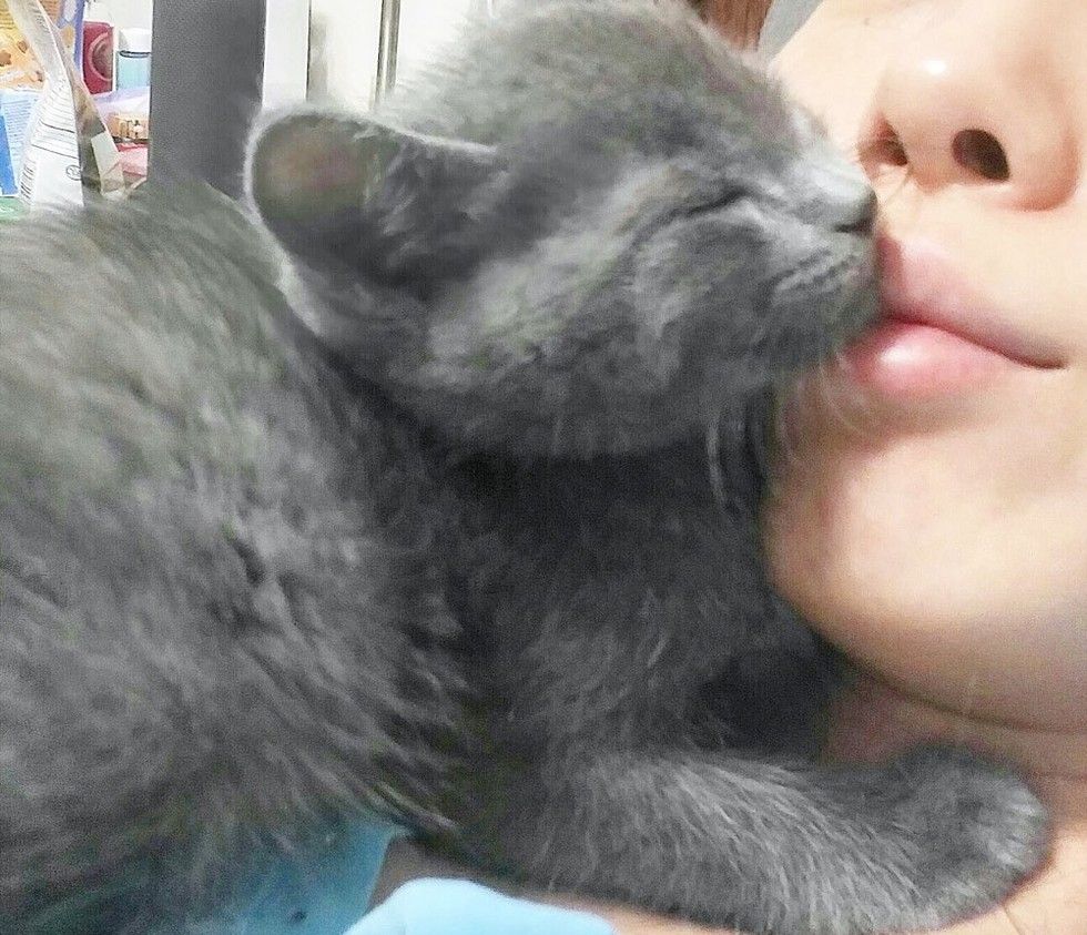 Runty Kitten Can't Stop Cuddling with His Forever Human, Even Looks ...