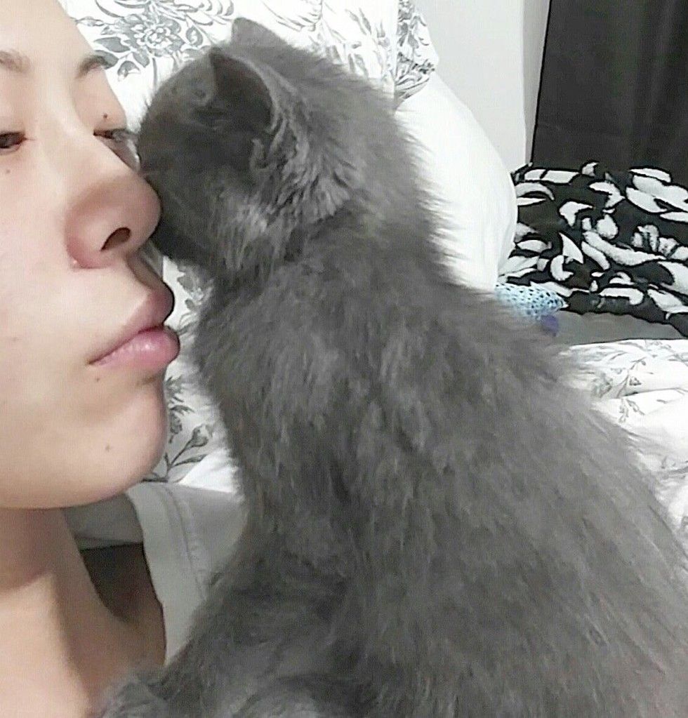 Runty Kitten Can't Stop Cuddling with His Forever Human, Even Looks ...