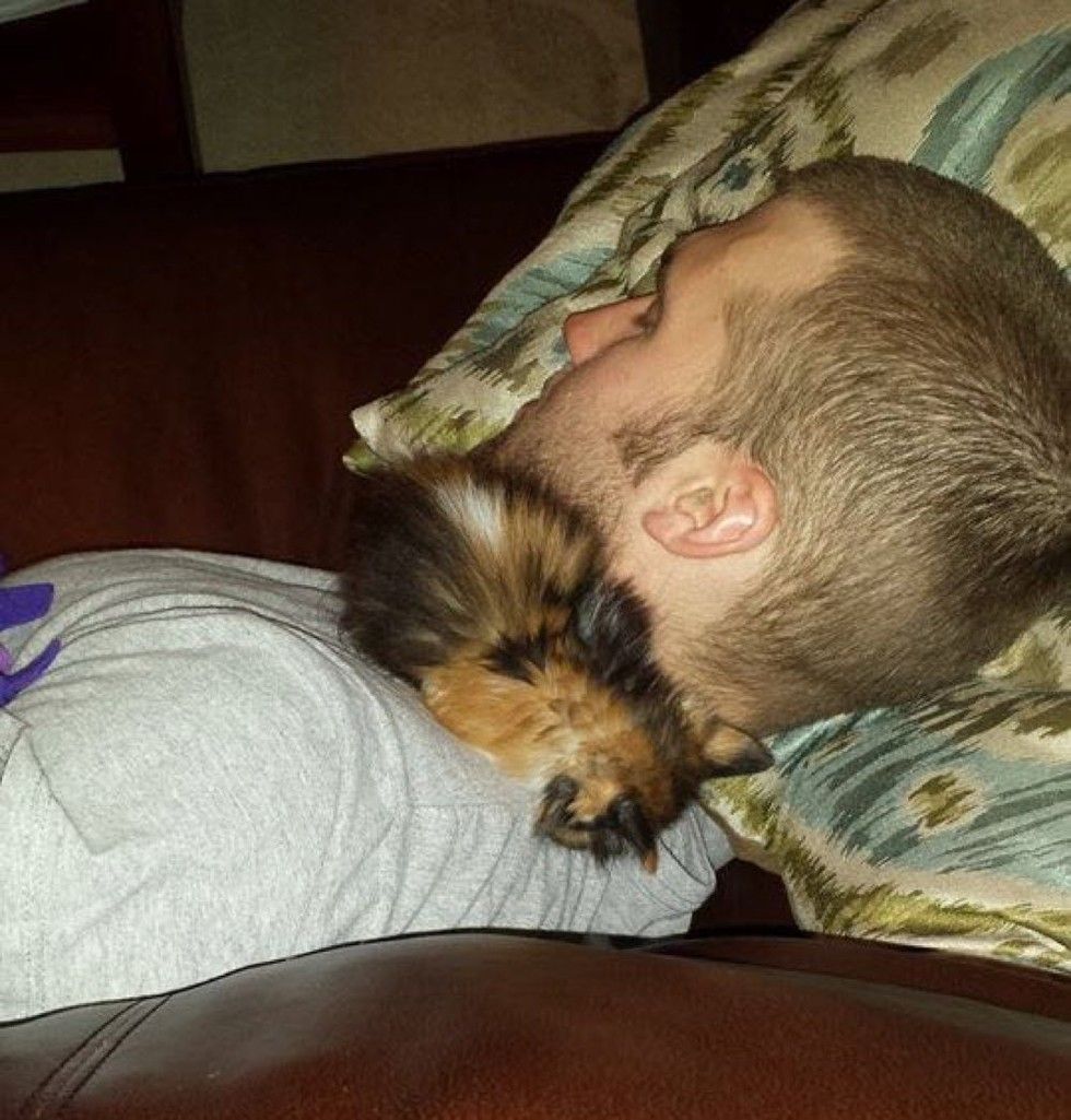 Two Years Ago This Man Met a Little Runt who Became His Lifelong Friend ...