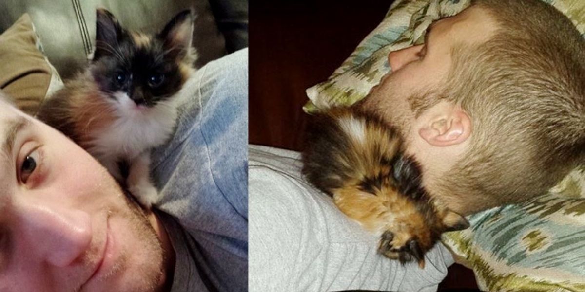 Two Years Ago This Man Met a Little Runt who Became His Lifelong Friend ...