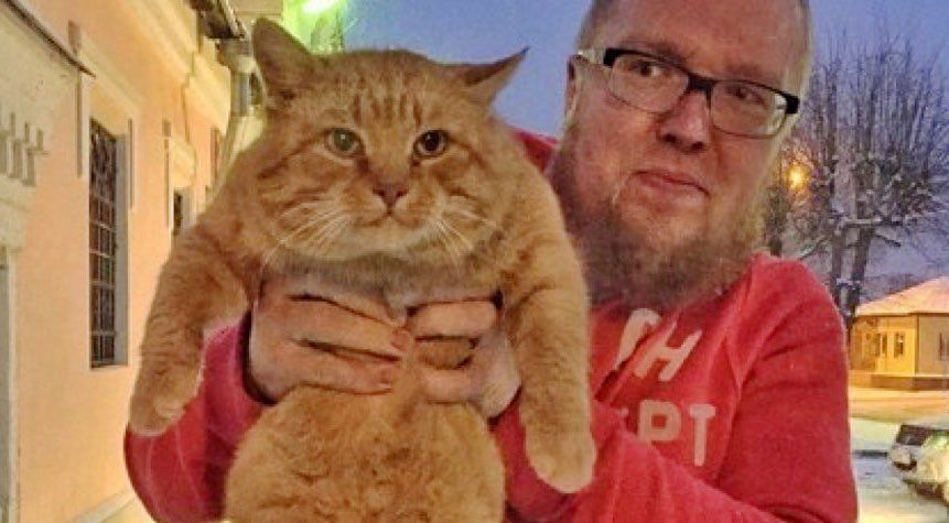 Stray Ginger Cat Decides He Will Be the Doorman for a Museum - Love Meow