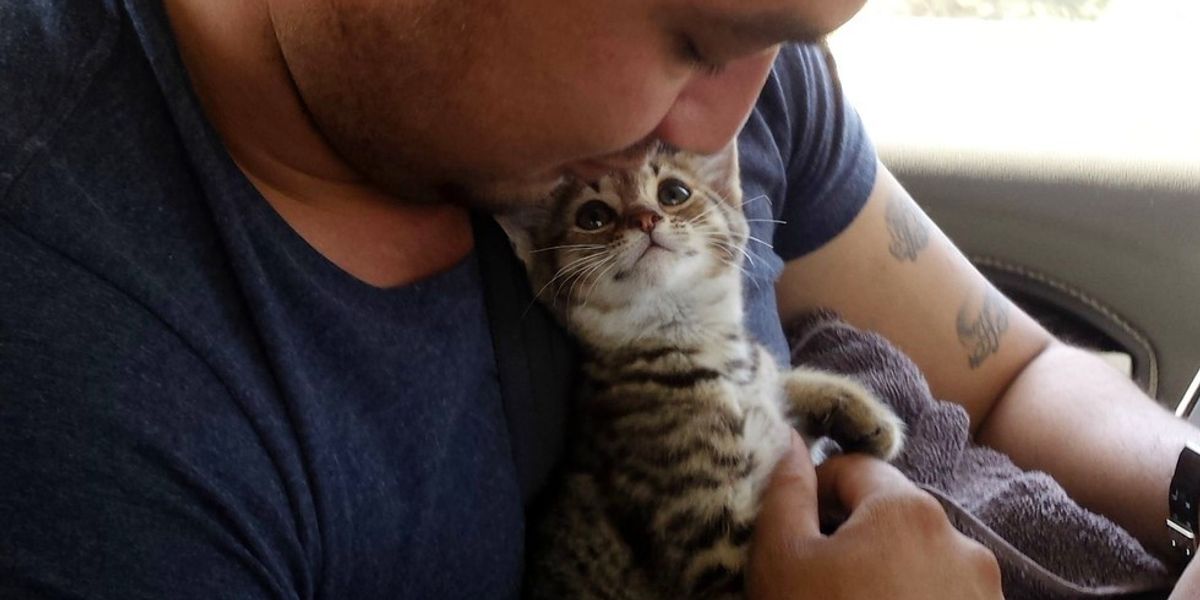 Happiness When This Kitten is Saved By His Rescuer - Love Meow