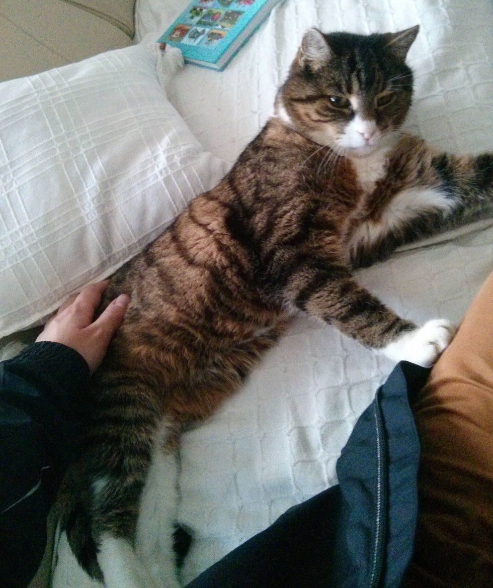 21 Years of Friendship with Cat, Growing Old Together - Love Meow