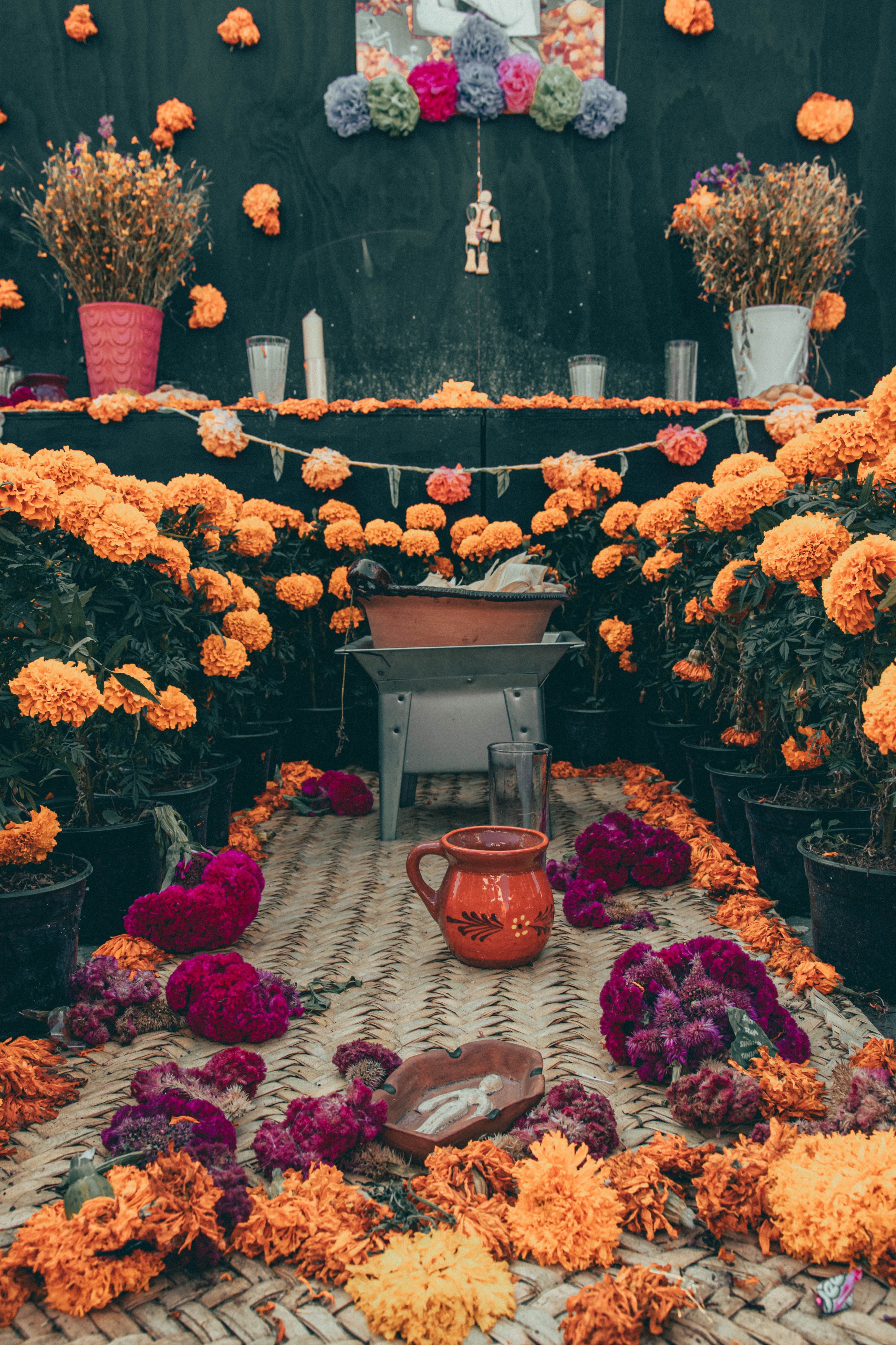 Everything You Need to Build Your Ofrenda - Luz Media