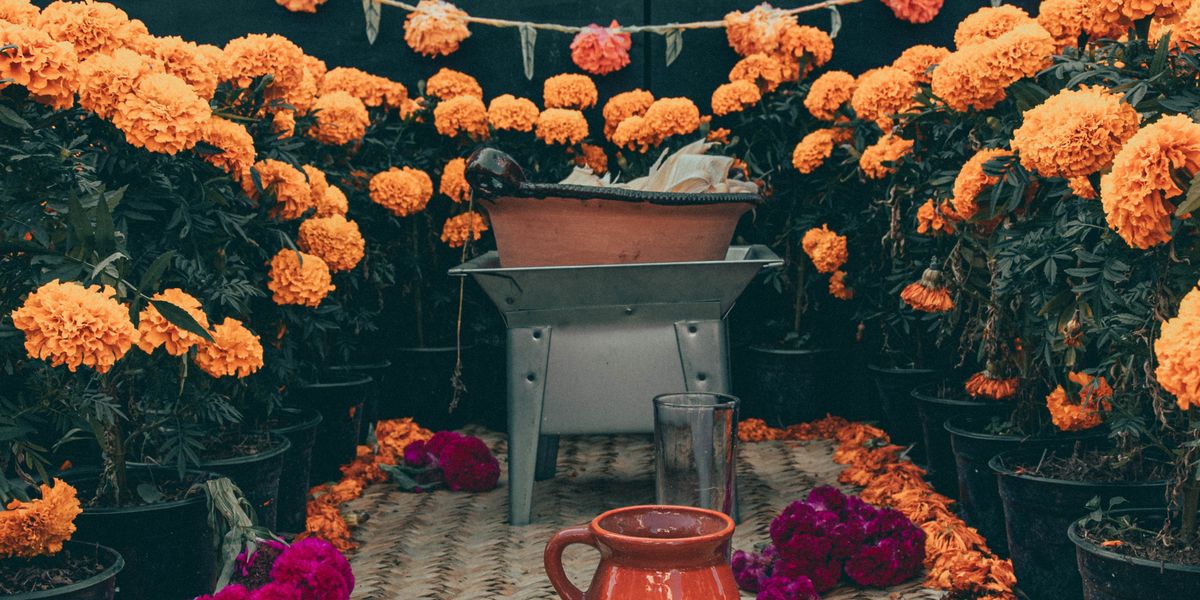 Everything You Need to Build Your Ofrenda - Luz Media