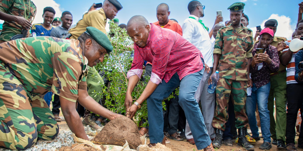 Kenya creates tree-planting holiday - Upworthy