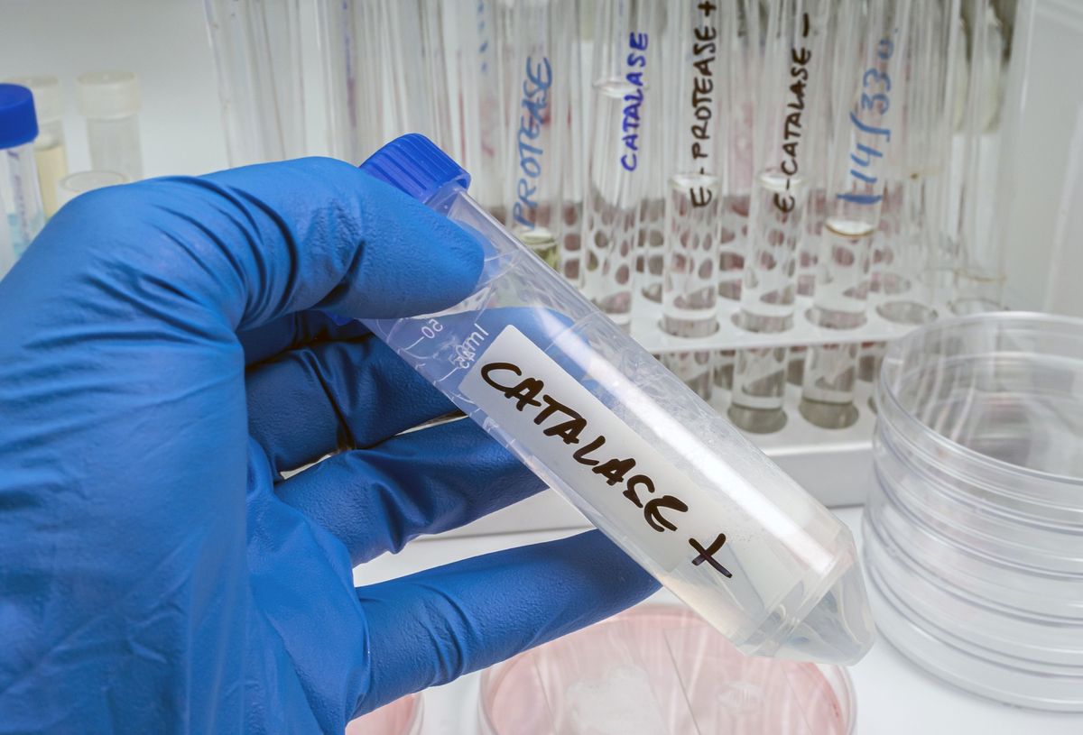 7. Catalase - xoNecole