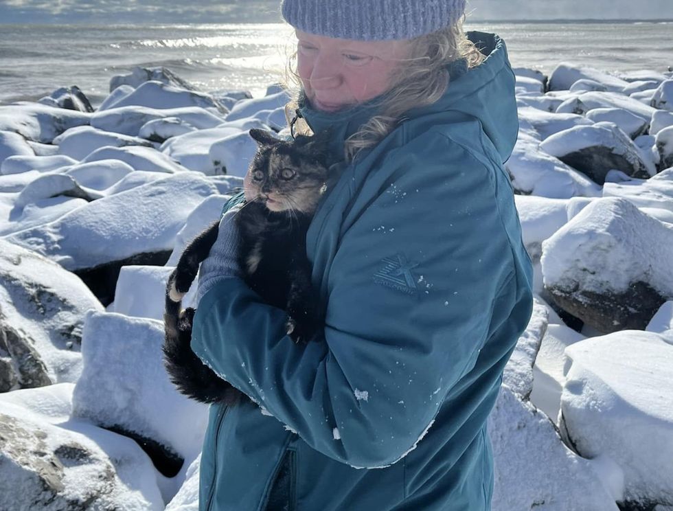 Kitten Hides in Rocks, but Rescuers Keep Trying, Even Amidst Snowstorm ...