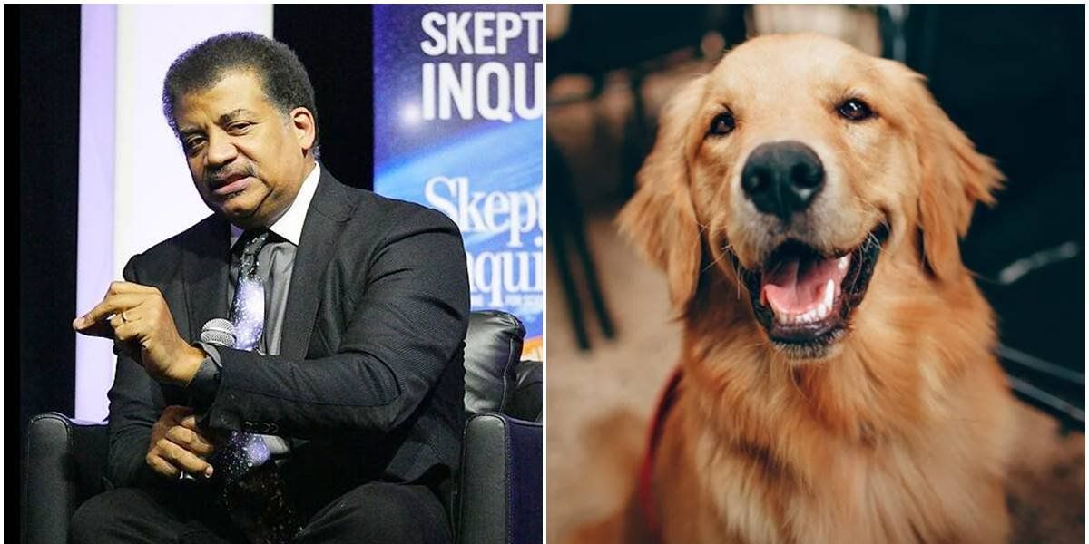 Neil deGrasse Tyson talks about dogs - Upworthy