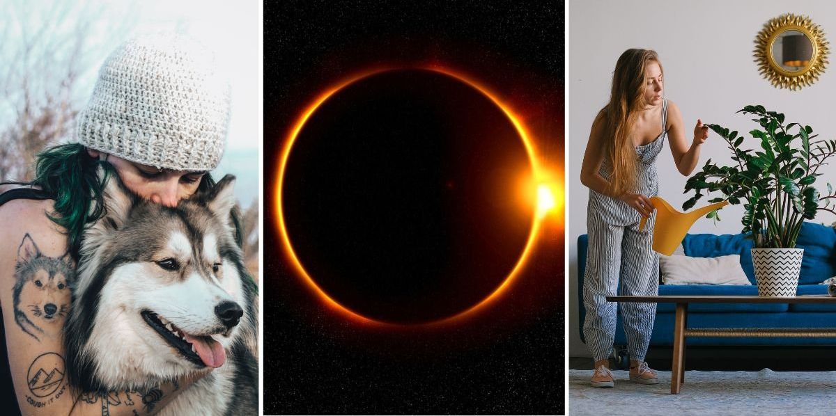 People share things you should experience at least once - Upworthy