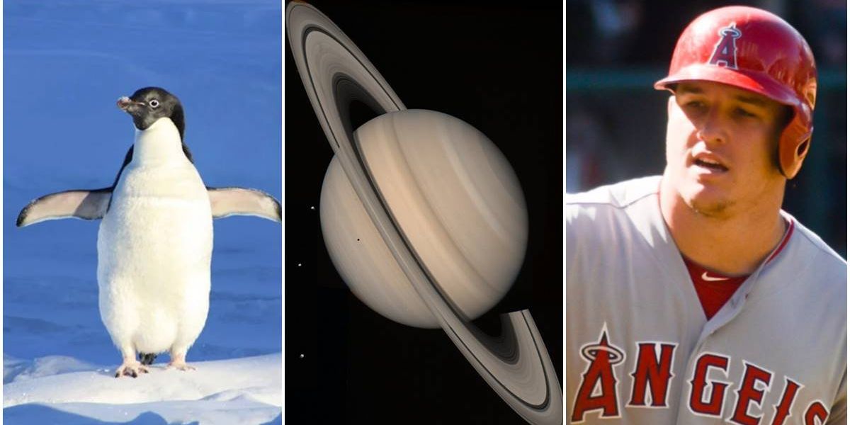 People share 20 random facts - Upworthy