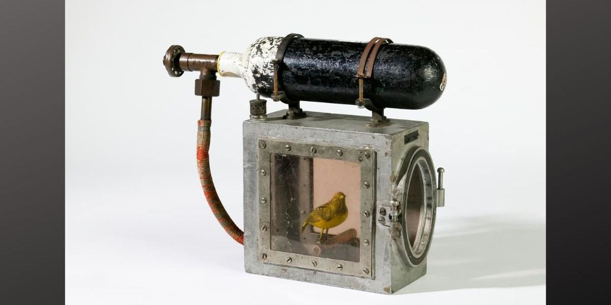 The ''canary in the coal mine' system had a special cage - Upworthy