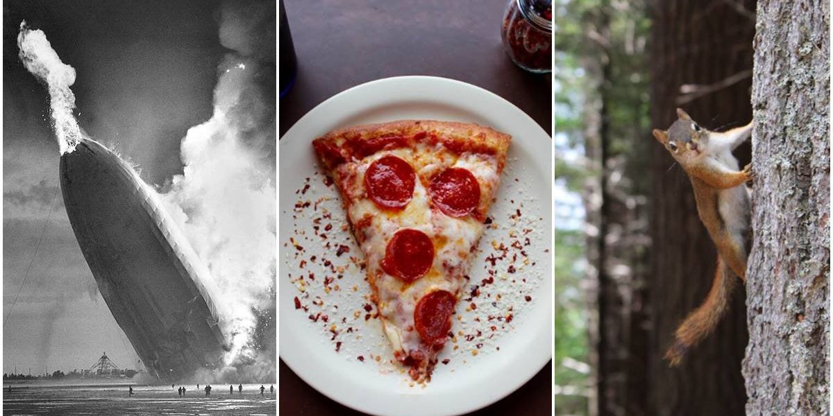 15 random fats most people don't know - Upworthy