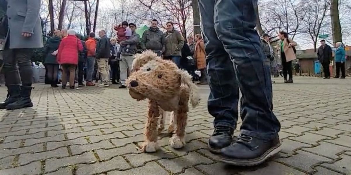 Dog puppet has actual dogs freaked out by how real it seems - Upworthy