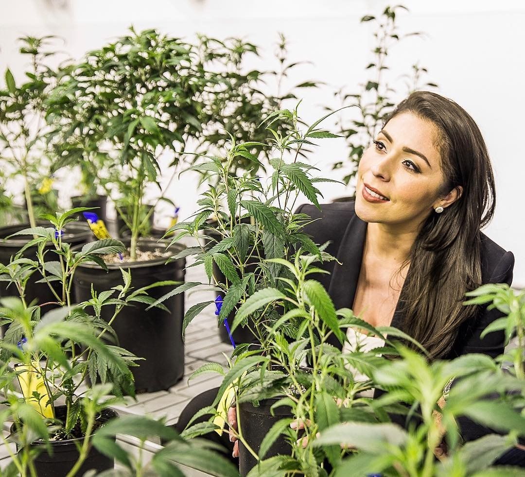 Spotting Machismo: A Quick Self-Reflection Guide - Luz Media