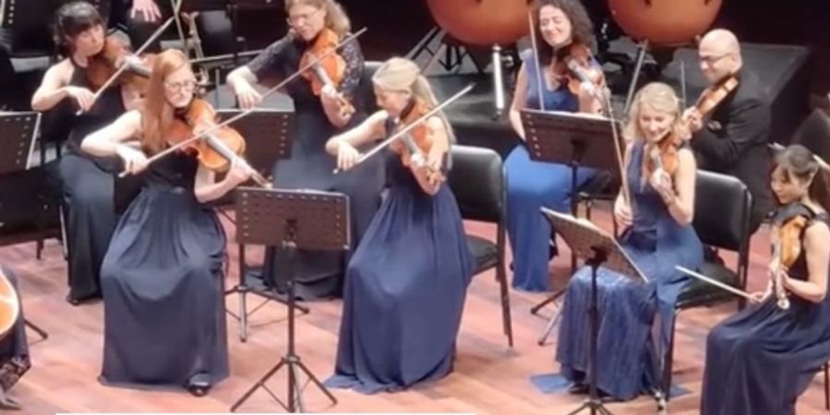 Stray cat wanders on stage during concert in Istanbul - Upworthy