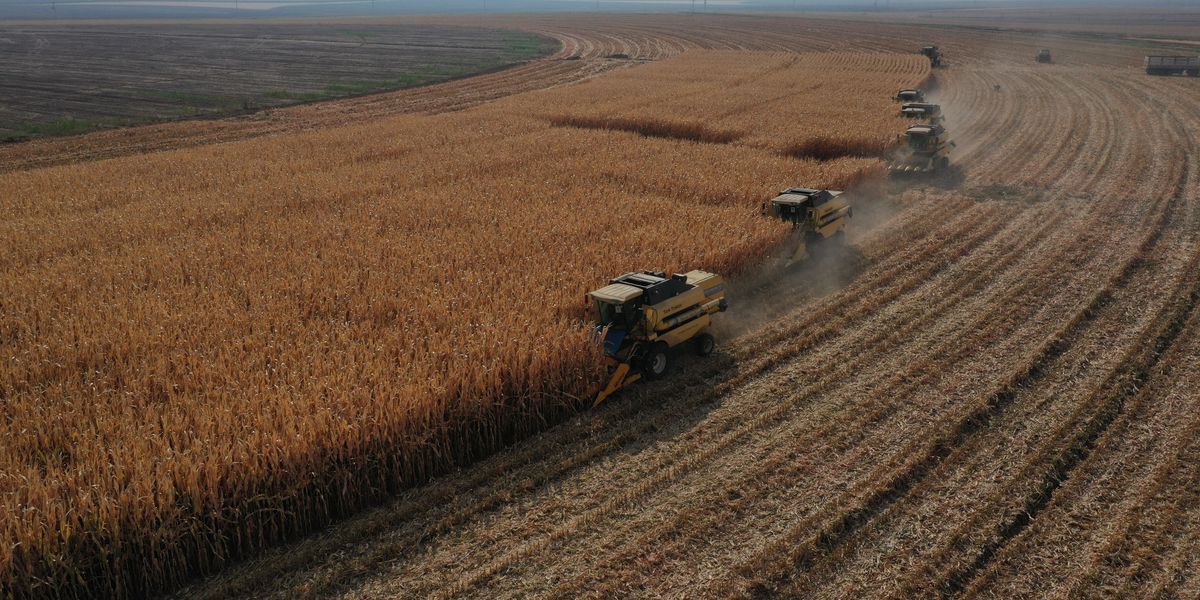 La nuova battaglia con i turchi è per il grano