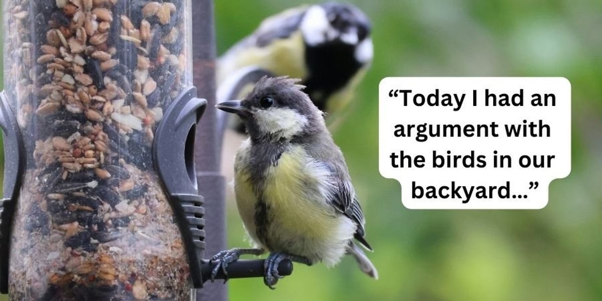 People are sharing their hilarious life in your 40s confessions - Upworthy