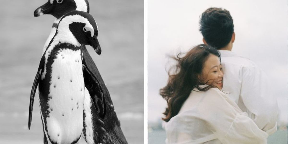 Man says other men need to watch the pebble videos women send them ...