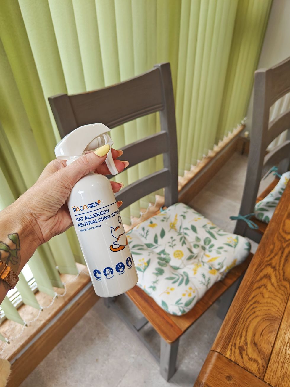 Why I Recommend Pacagen To Anyone With Cat Allergies