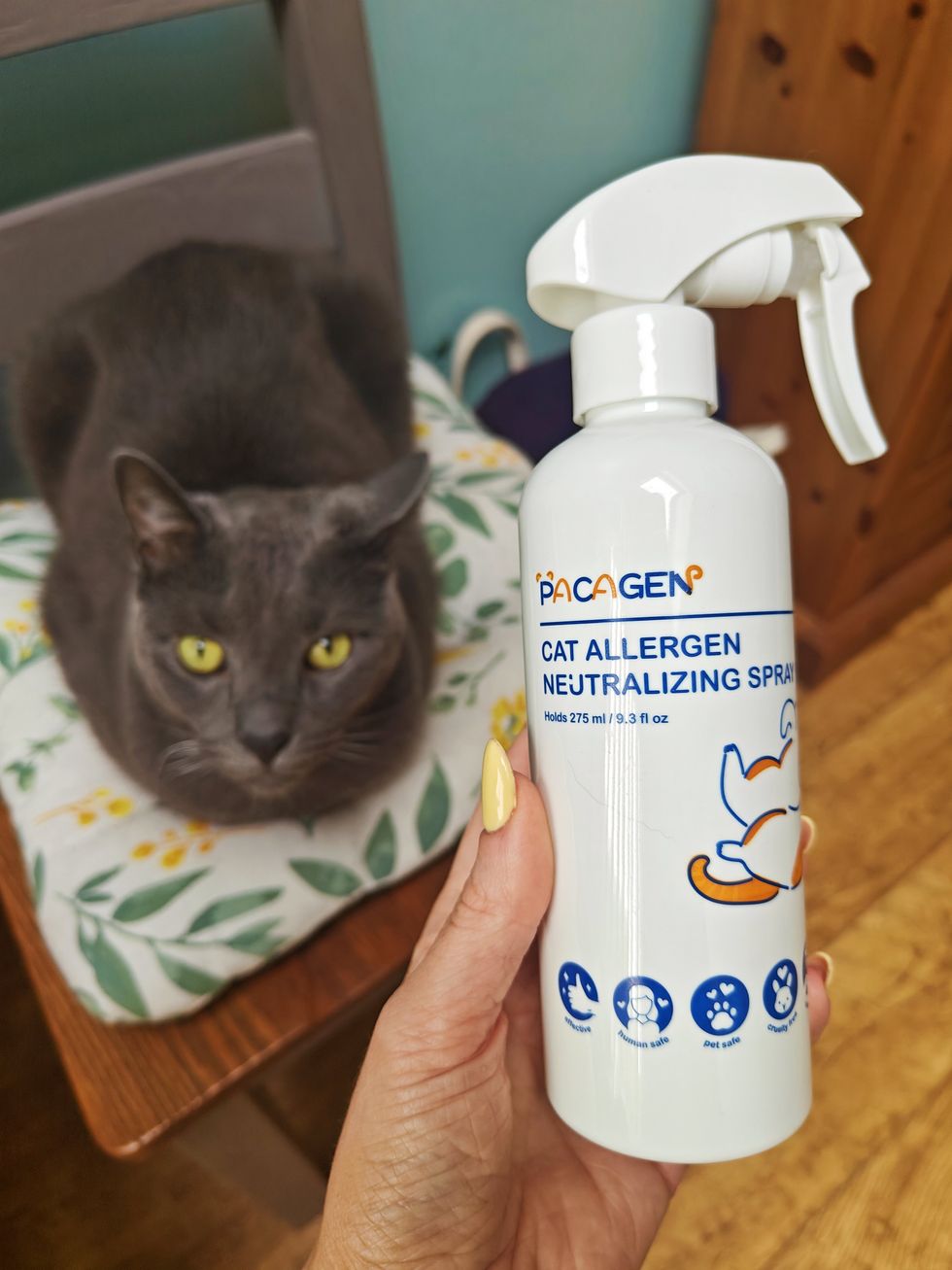 Why I Recommend Pacagen To Anyone With Cat Allergies