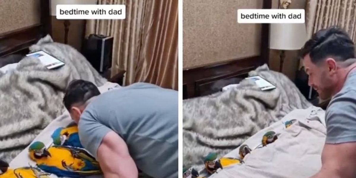 Man shares bedtime routine of parrots raised from birth - Upworthy