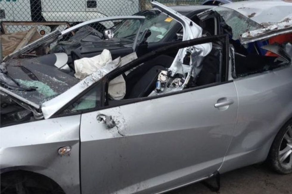 Man Reunited with His Beloved Cat After Terrible Car Crash - Love Meow