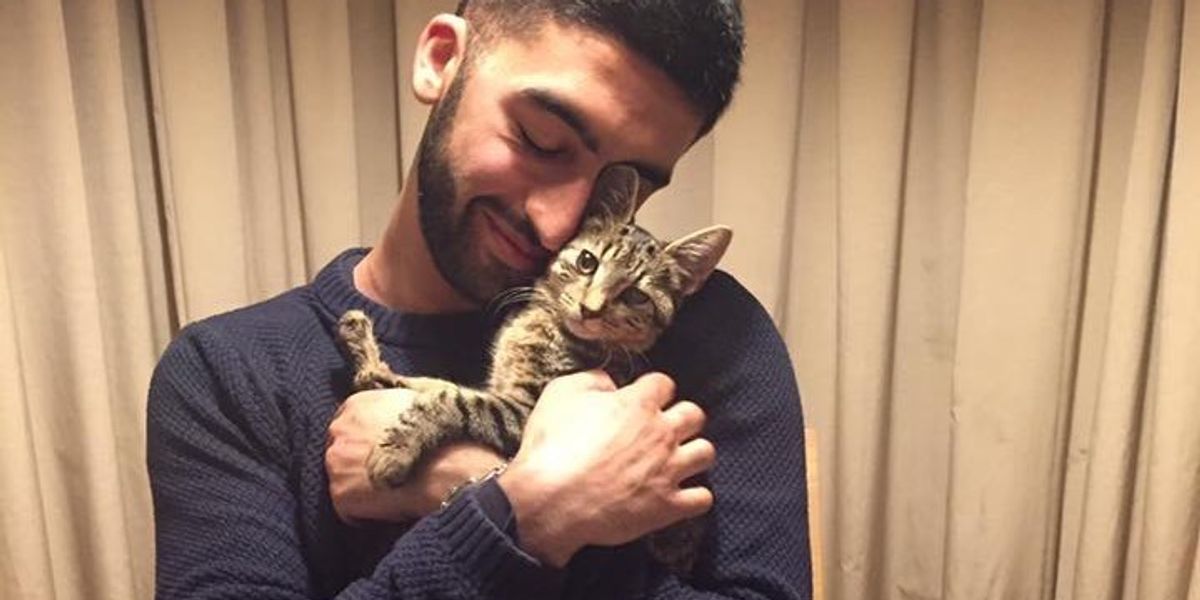 Man Reunited with His Beloved Cat After Terrible Car Crash - Love Meow
