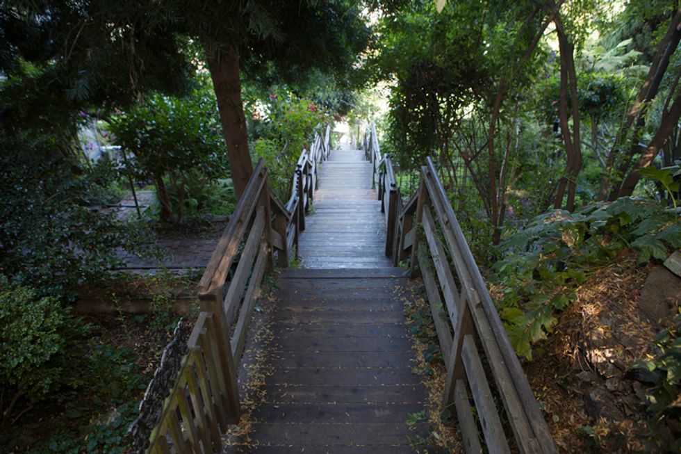 Scenes of the City: Filbert Street Steps - 7x7 Bay Area