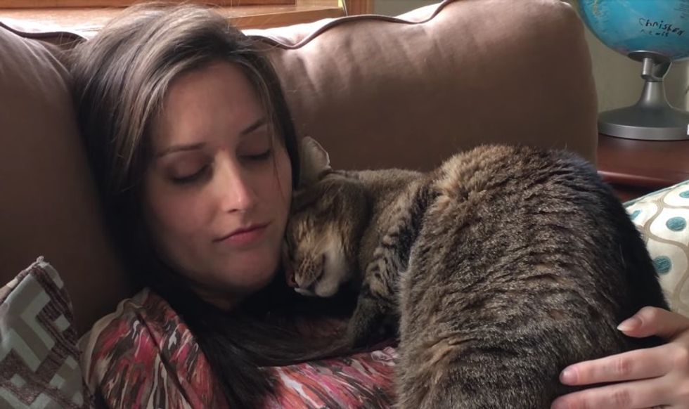 Cat Senses Baby Coming from His Pregnant Human - Love Meow